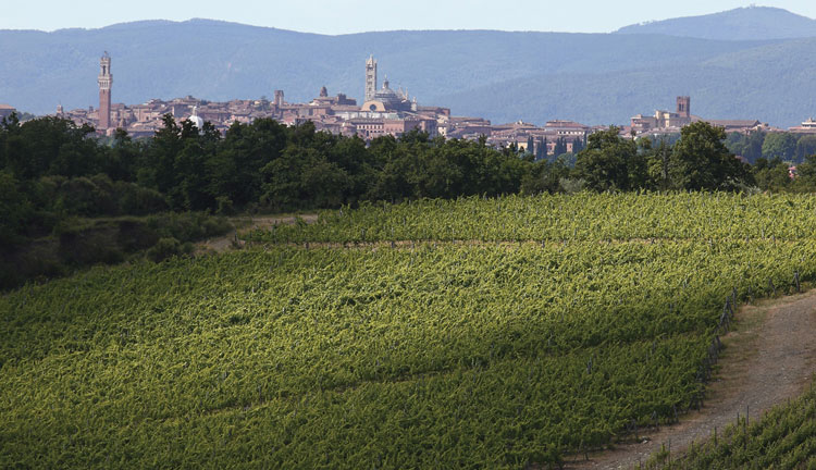 Der Erdboden, seine Früchte